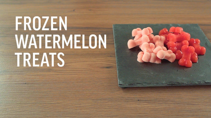 DIY Frozen Watermelon Treats for Dogs | Earth Rated® Blog