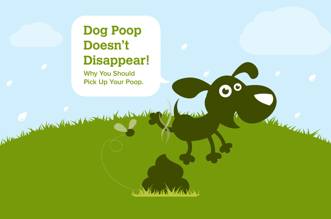 Why You Should Pick Up Your Dog's Poop | Earth Rated® Blog