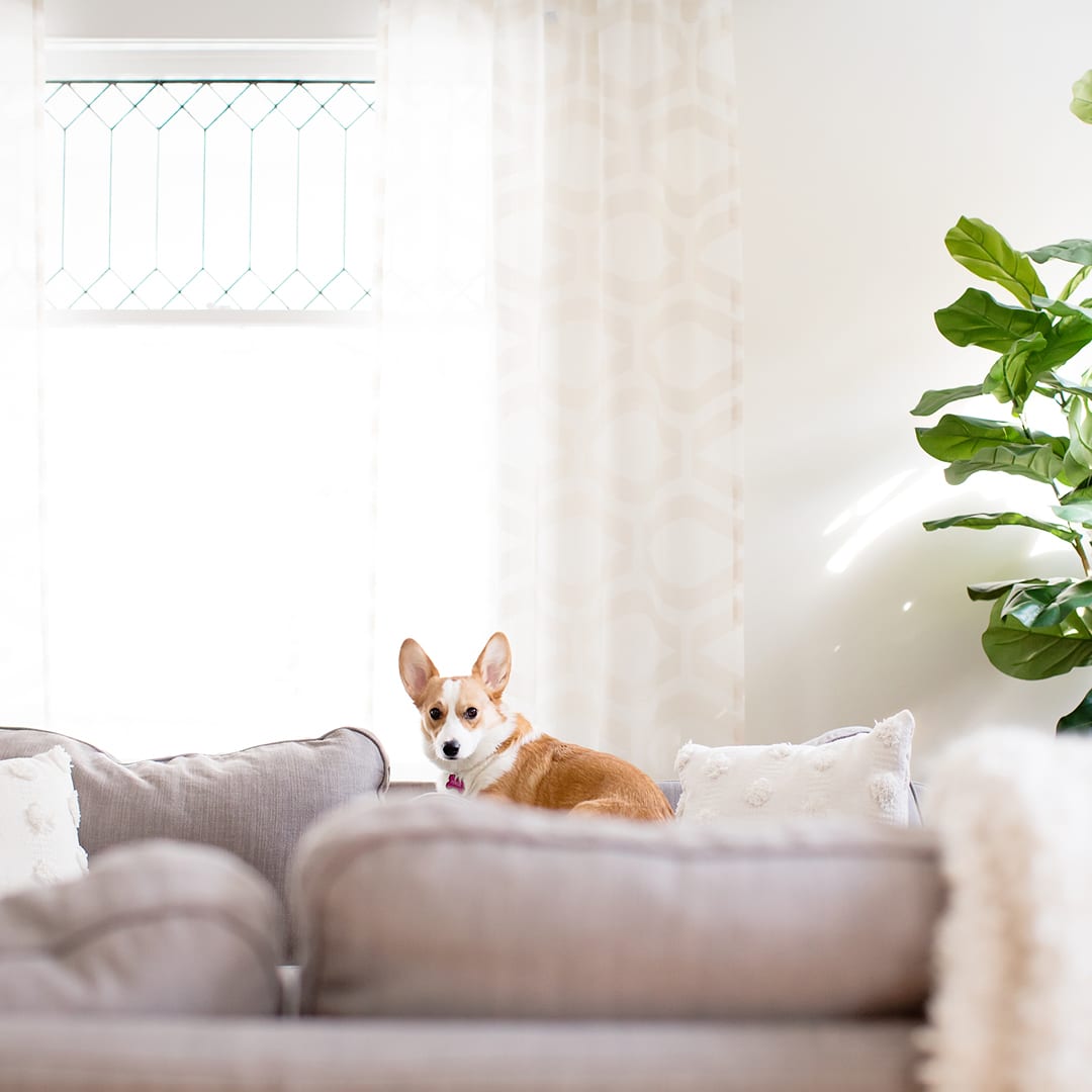 The Perfect Exposure Project | Earth Rated® Blog Post – Earth Rated ...