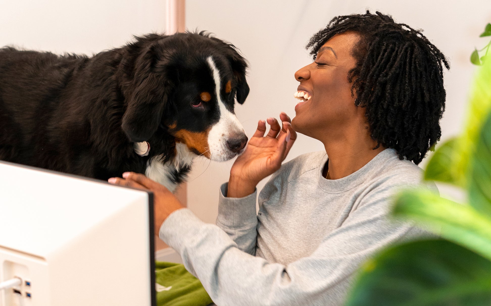 How to create a welcoming and safe environment for office dogs.