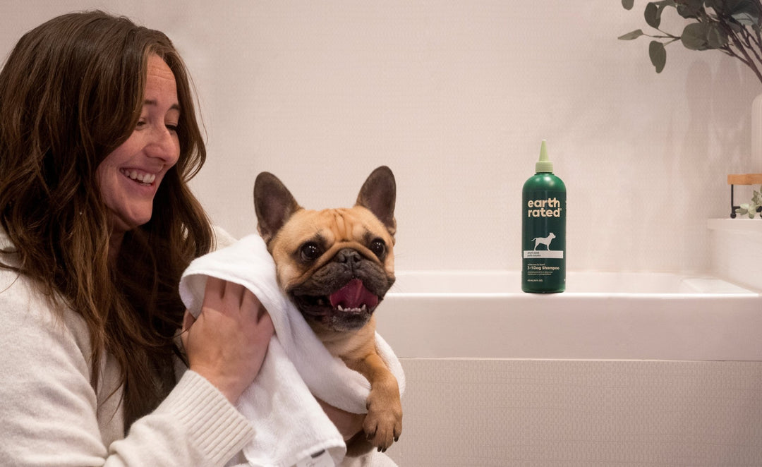 Easy Home Remedies For a Shiny Dog Coat | Earth Rated