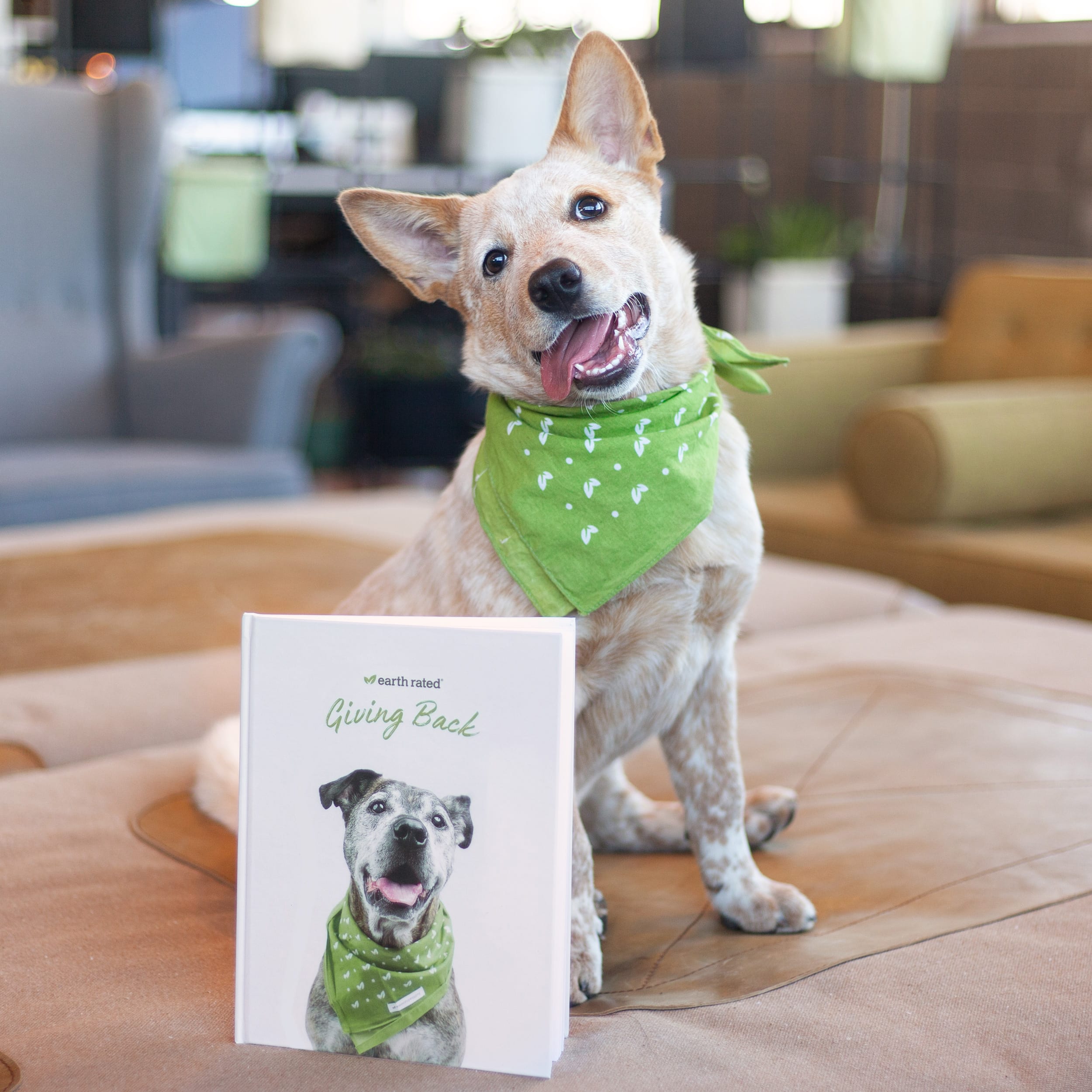 10 ans de Earth Rated, 10 abris chanceux ! | Earth Rated® – Earth Rated ...