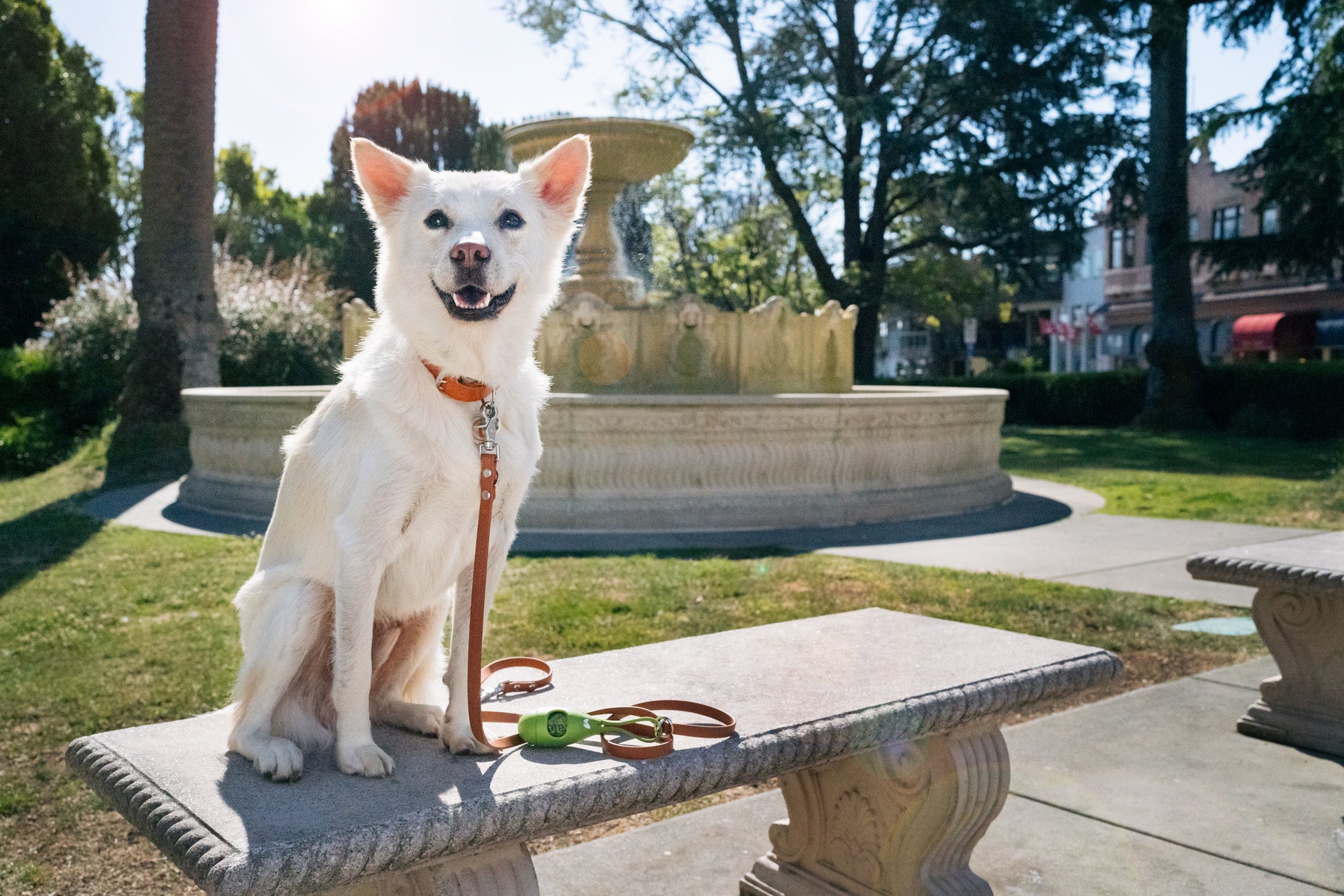 Earth Rated Unveils Cutting-Edge Innovation Centre to Propel New Produ ...