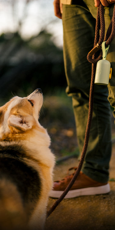 Earth Rated | Making life with dogs simpler and better.