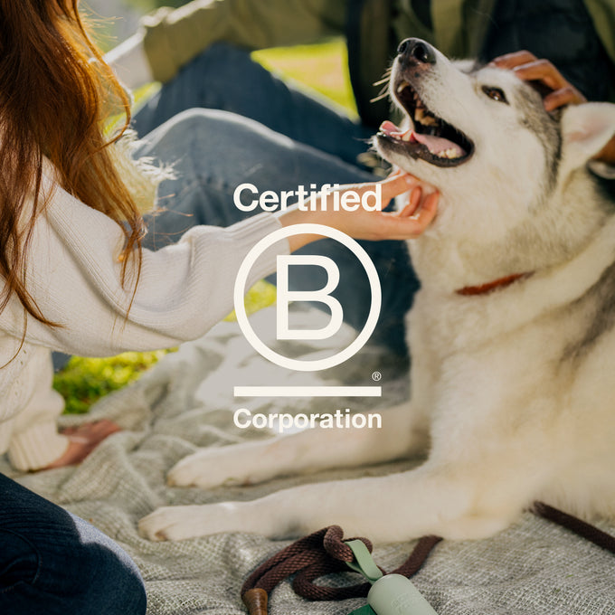 Earth Rated | Making life with dogs simpler and better.