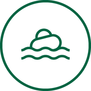 Earth Rated Dog Fetch Toy: The Ultimate Erratic Bounce