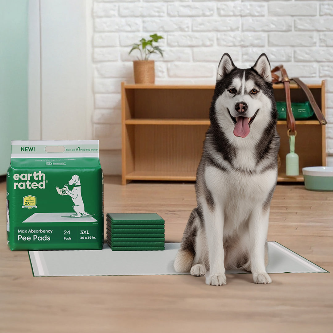Dog Pee Pads - Max Absorbency Training Pads with AbsorbShield Technology