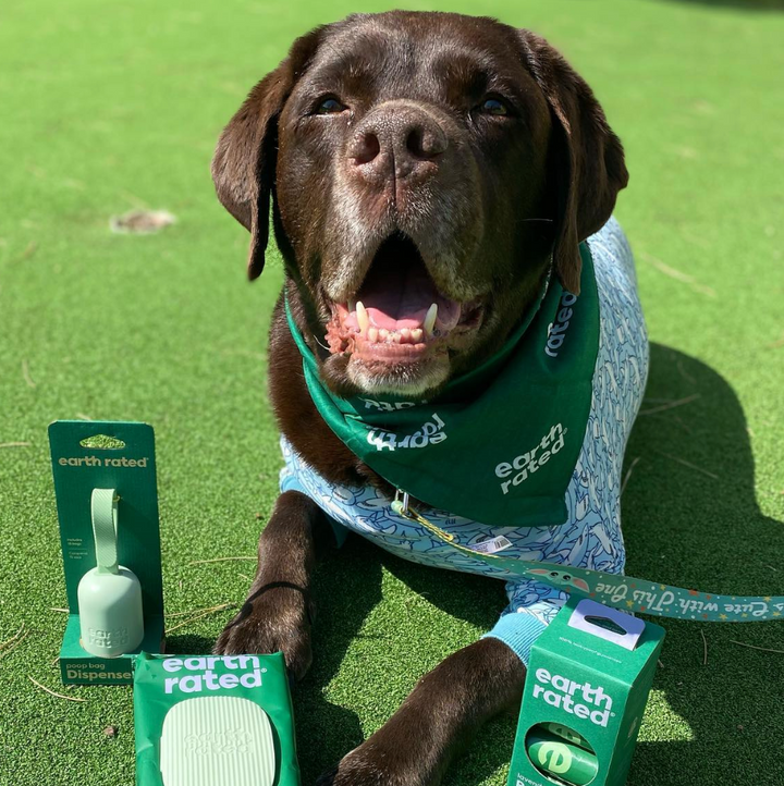 Earth Rated | Making life with dogs simpler and better.