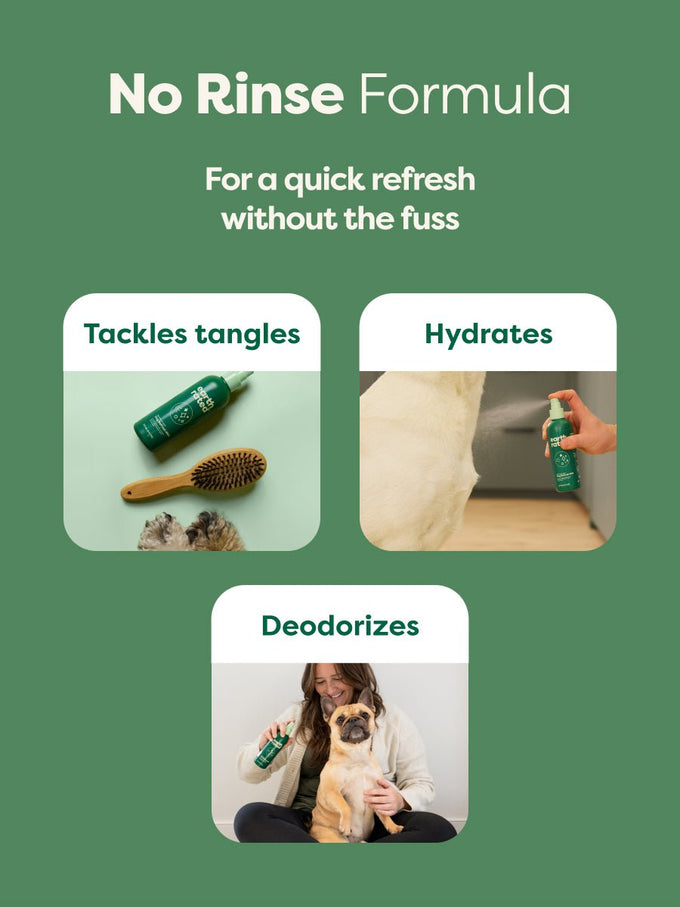 Dog Deodorizing Spray - Instant Odor Eliminator & Refresh Mist