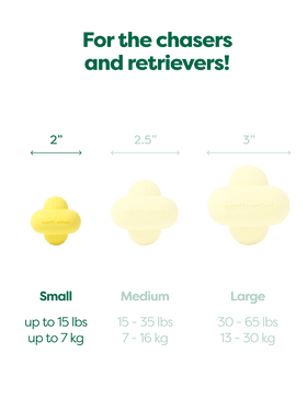 Earth Rated Dog Fetch Toy: The Ultimate Erratic Bounce