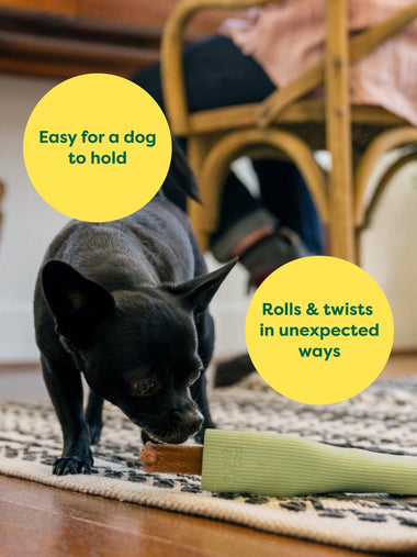 Earth Rated Dog Enrichment Toy: The Ultimate Snack Holder