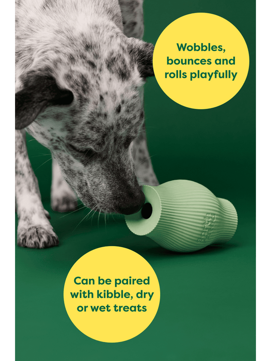 Treat Dispensing Dog Toys: The Ultimate Kibble Dispenser