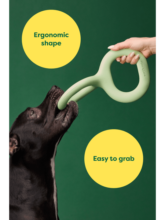 Earth Rated Dog Tug Toy: The Ultimate Pull and Shake