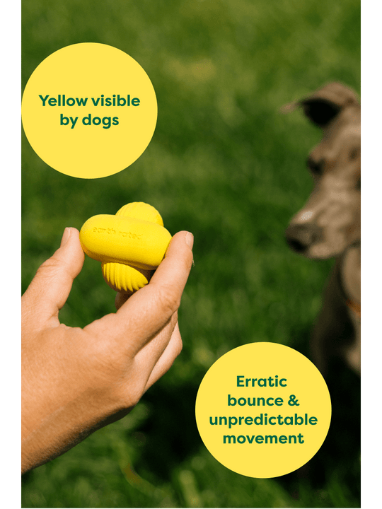 Earth Rated Dog Fetch Toy: The Ultimate Erratic Bounce