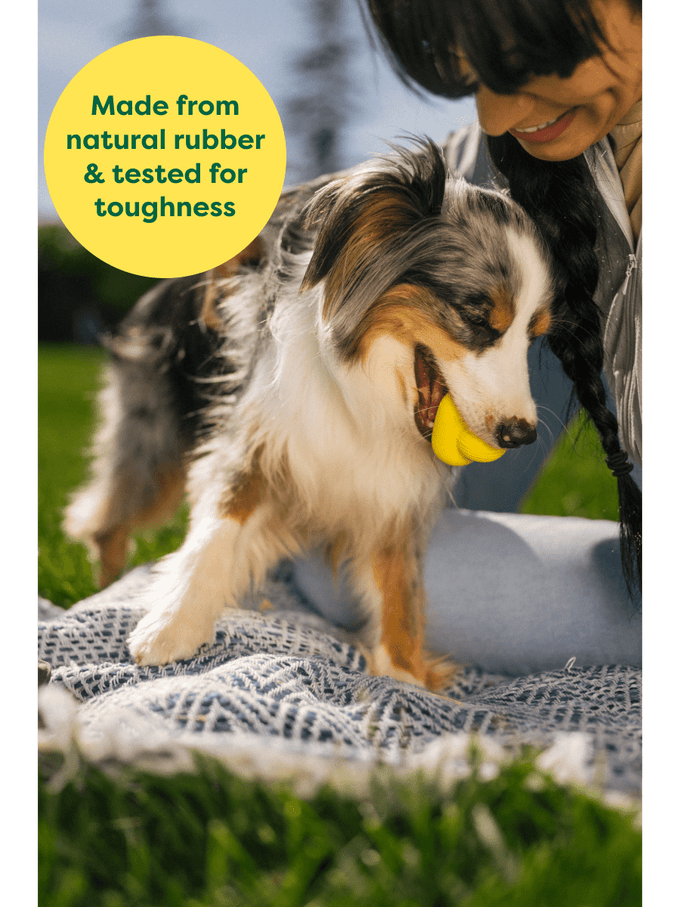 Earth Rated Dog Fetch Toy: The Ultimate Erratic Bounce
