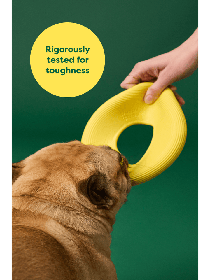 Earth Rated Dog Fly Toy: The Ultimate Chase