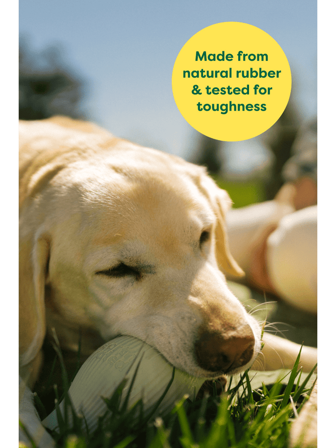 Treat Dispensing Dog Toys: The Ultimate Kibble Dispenser