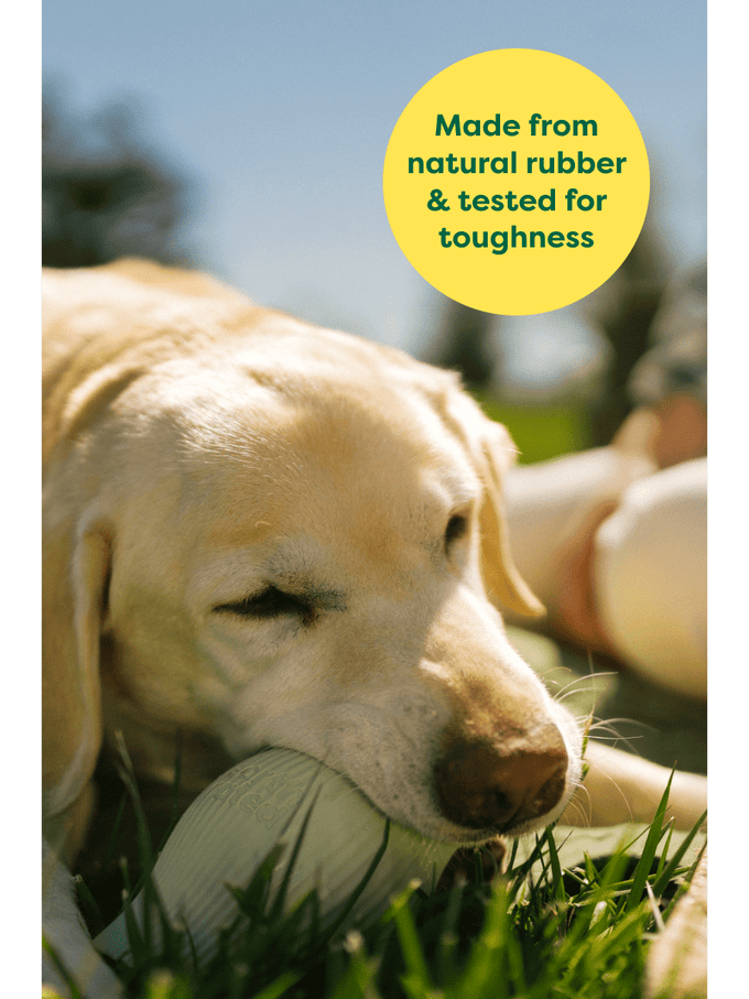 Treat Dispensing Dog Toys: The Ultimate Kibble Dispenser