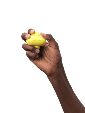 Earth Rated Dog Fetch Toy: The Ultimate Erratic Bounce